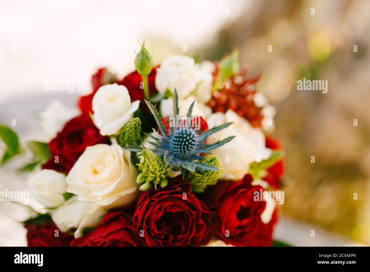 bridal bouquet of white, read and cream roses, ornithogalum and ...