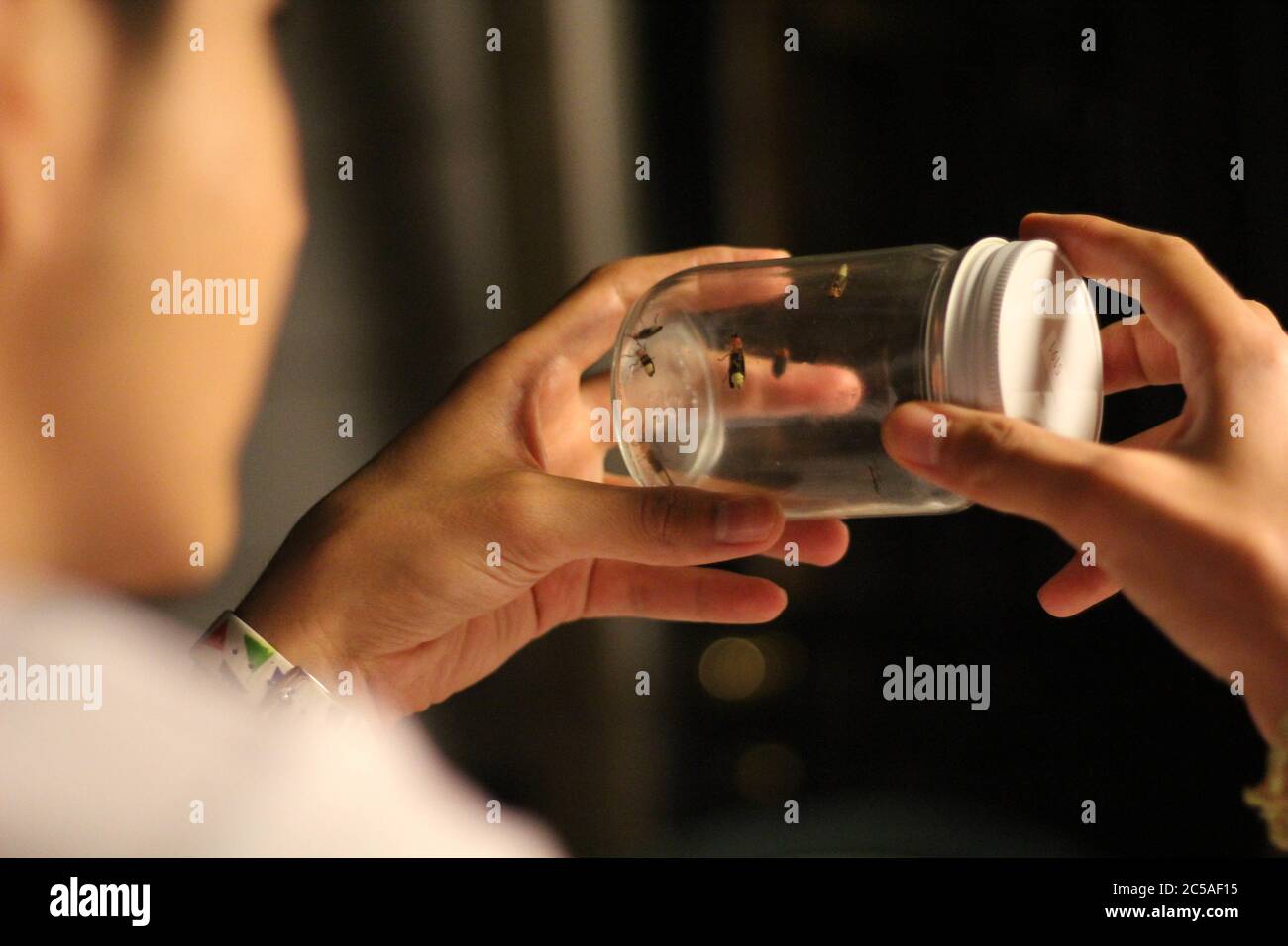 Fireflies in a jar hi-res stock photography and images - Alamy
