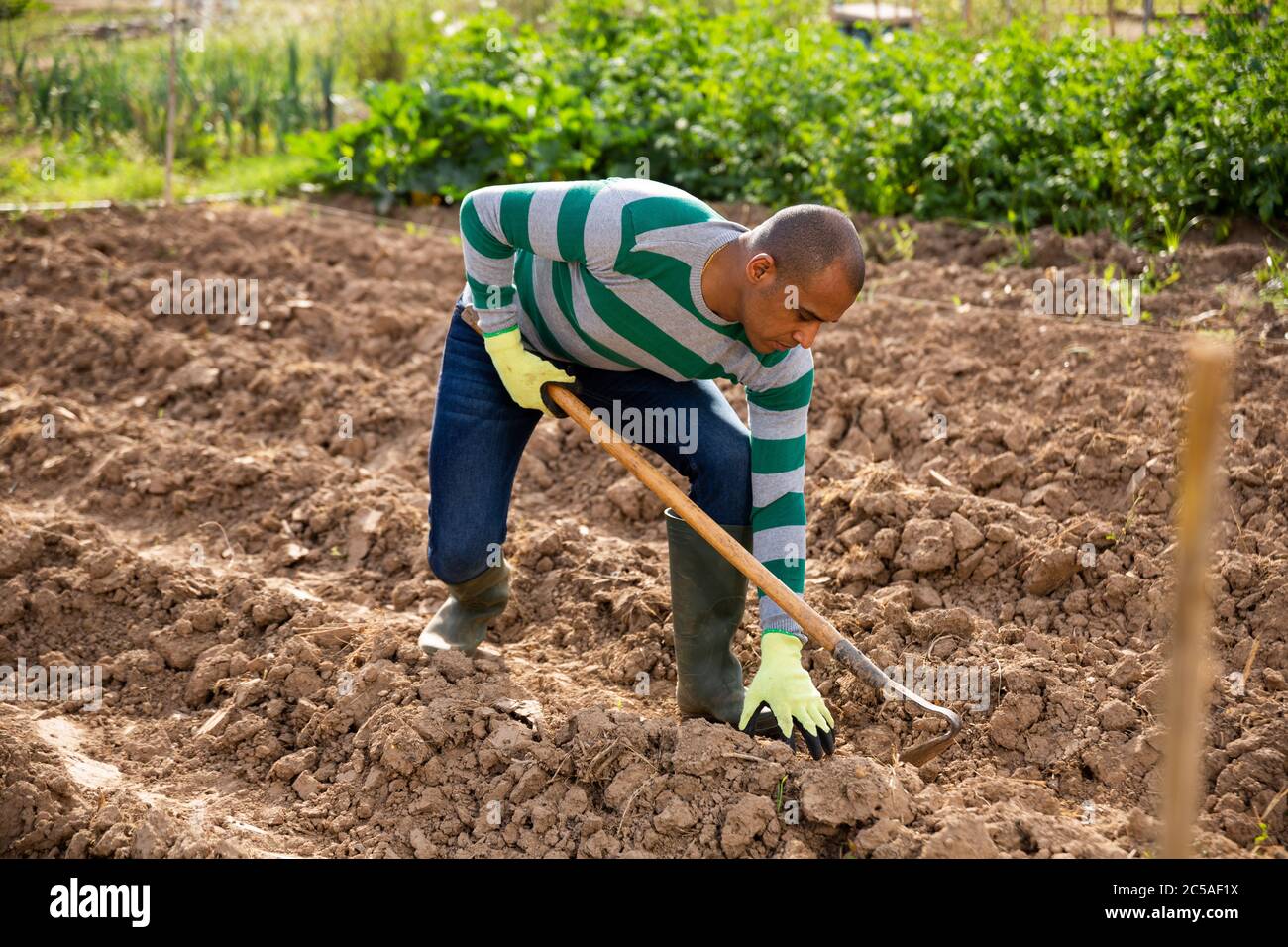 Portrait of working Indian with hoe on farm field Stock Photo - Alamy