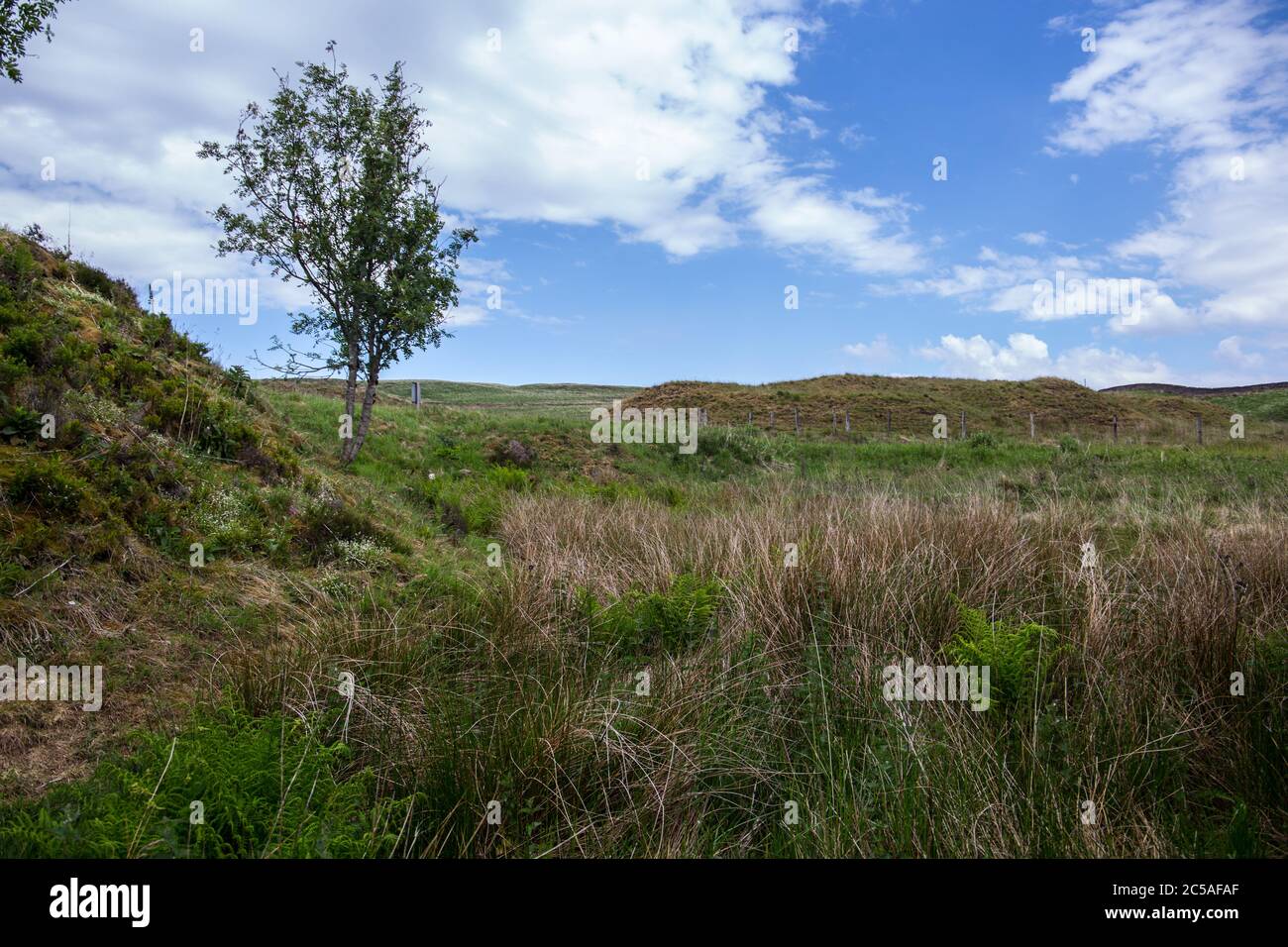 Rivington Pike uk, June 2020 Stock Photo - Alamy