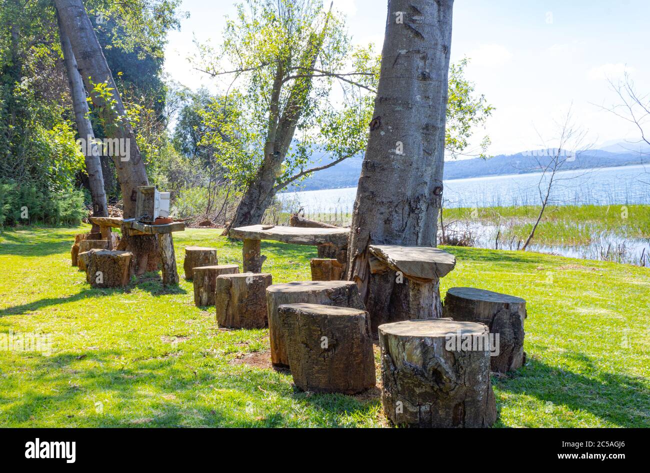 Trees next to the water surrounded by wooden stumps and a table Stock ...