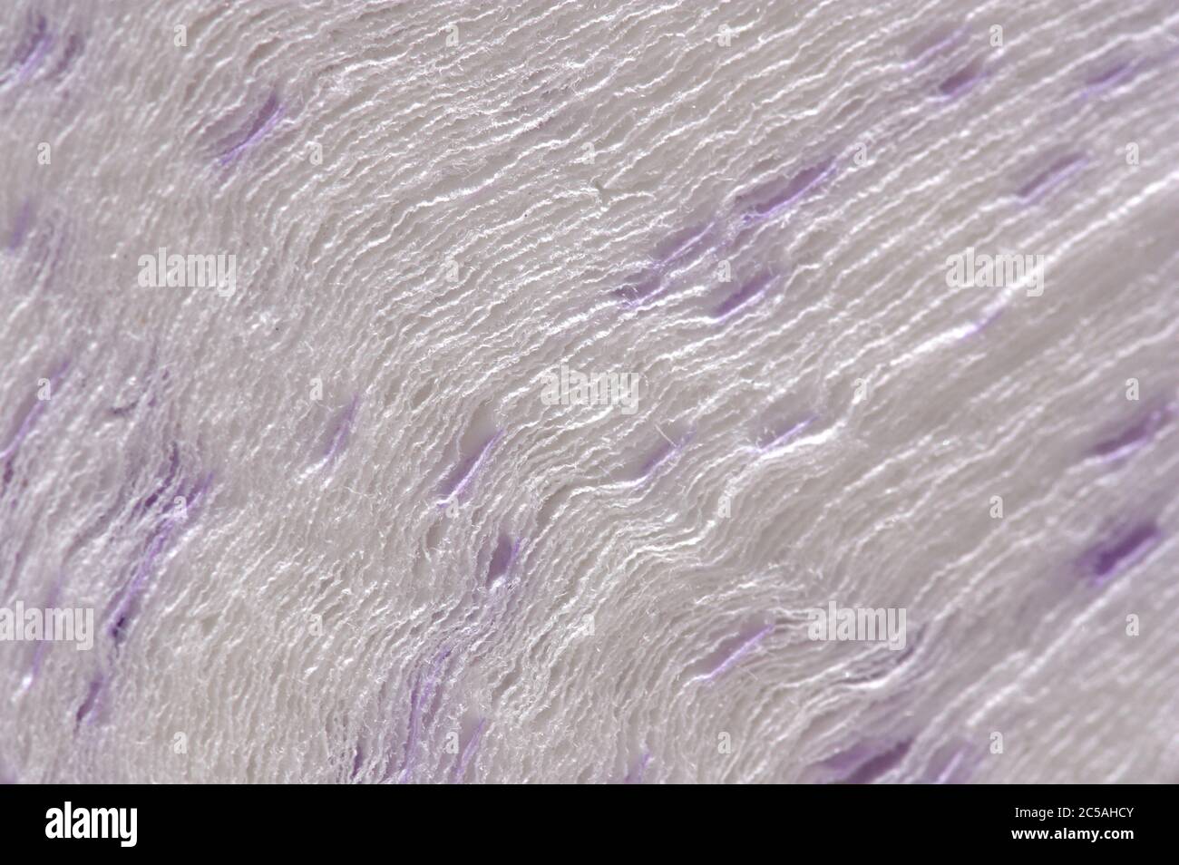 Macro photography of a section of white fluffy paper with purple spots ...