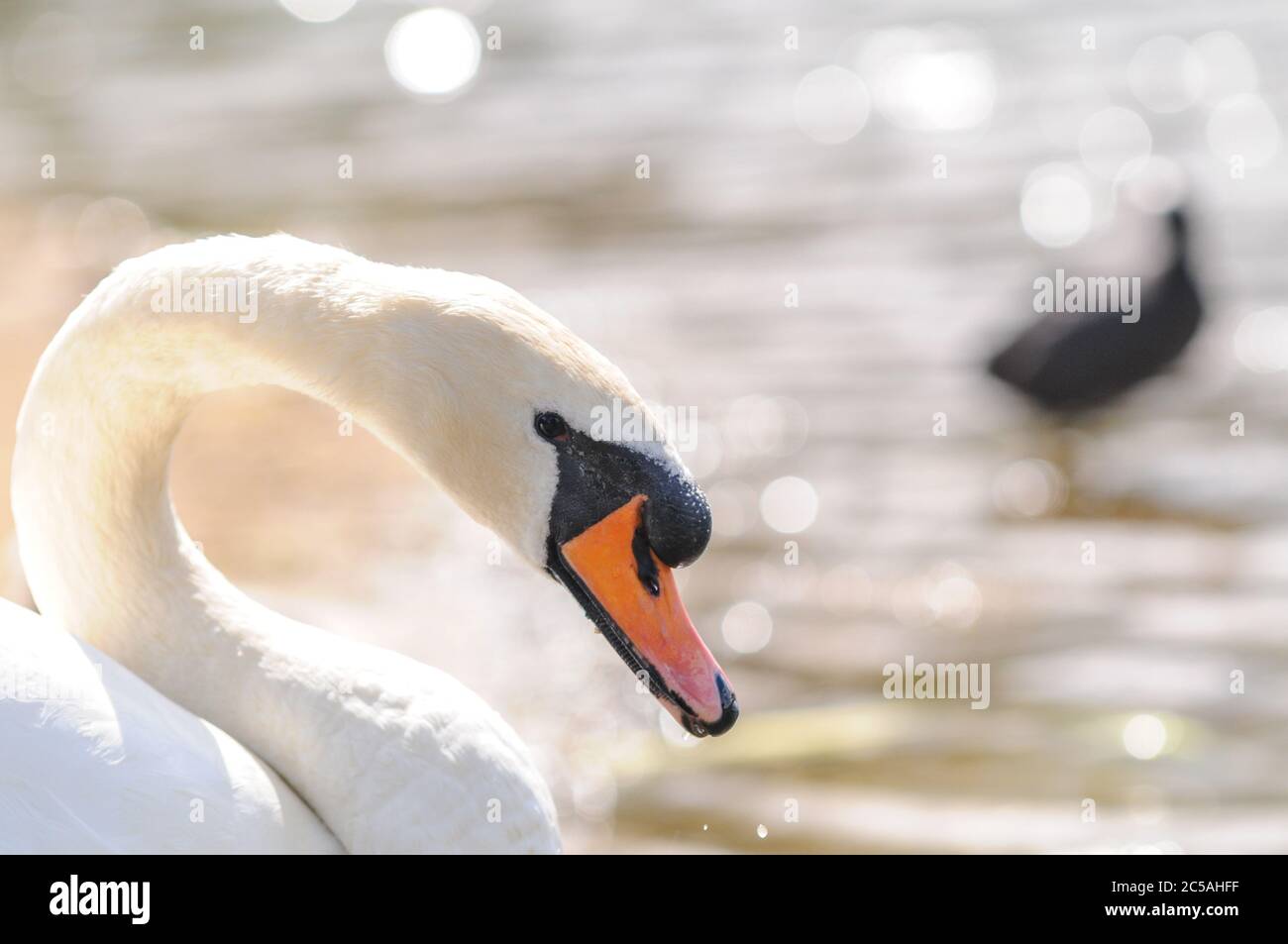 Straiton walk hi-res stock photography and images - Alamy