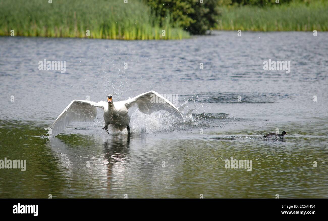 Straiton walk hi-res stock photography and images - Alamy