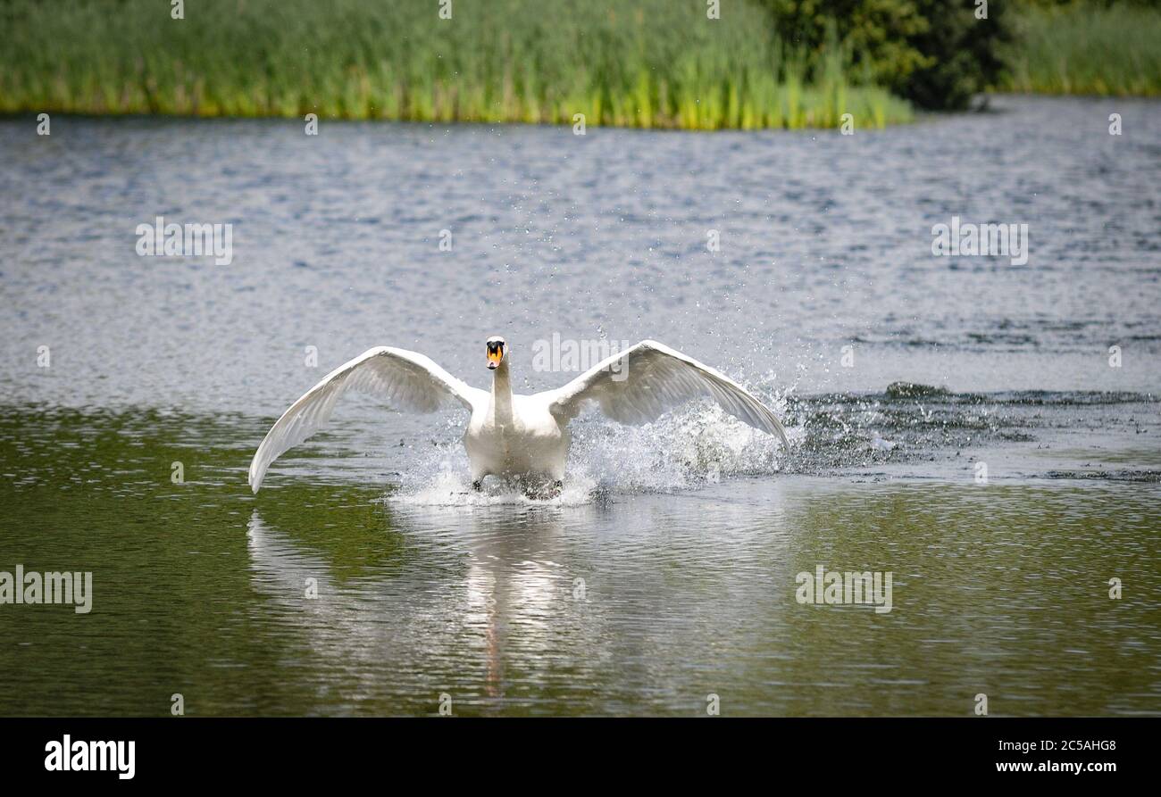 Straiton walk hi-res stock photography and images - Alamy
