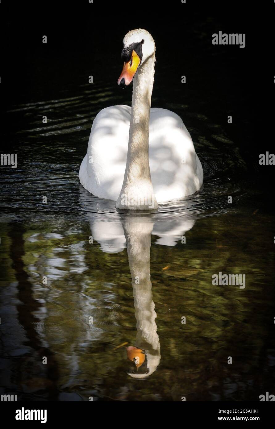 Straiton walk hi-res stock photography and images - Alamy