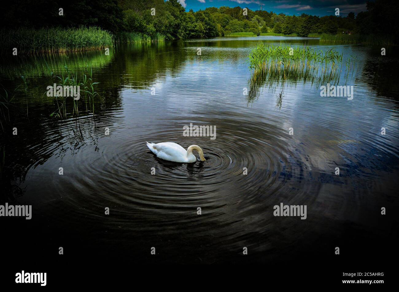 Straiton walk hi-res stock photography and images - Alamy