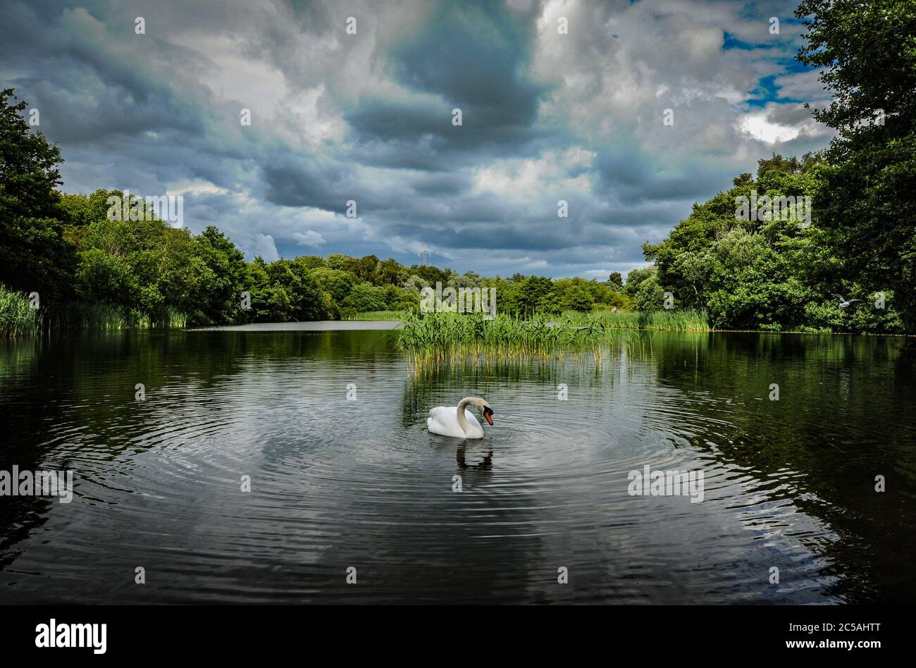 Straiton walk hi-res stock photography and images - Alamy