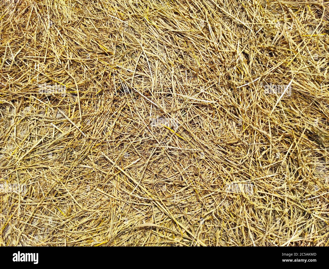 Hay and straw natural background. Farm rural backdrop Stock Photo - Alamy