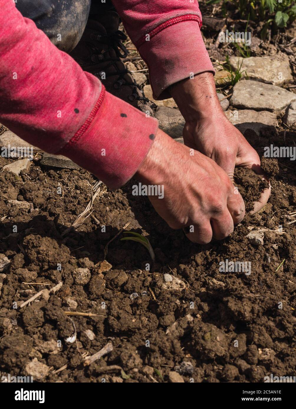 Green earth shirt hi-res stock photography and images - Alamy