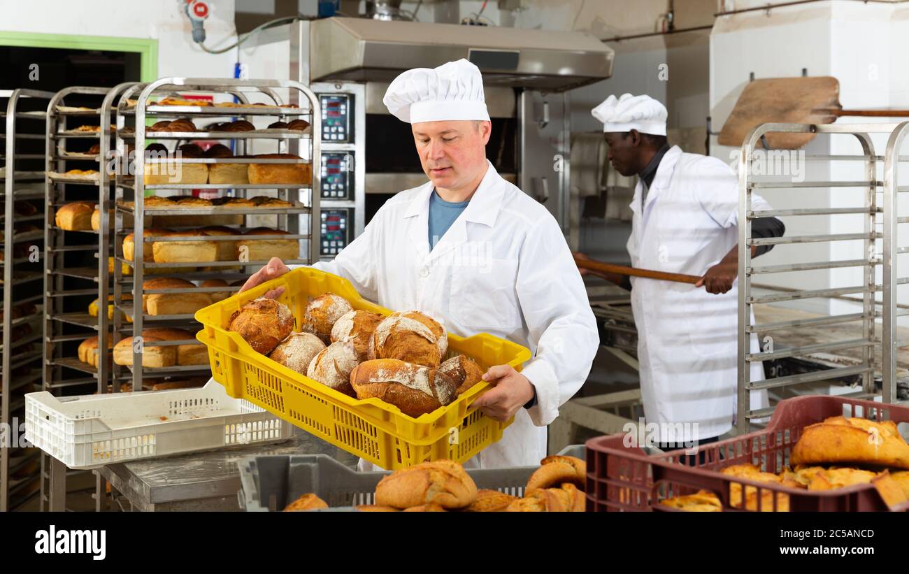 Positive bakery worker lays fresh bread Stock Photo - Alamy
