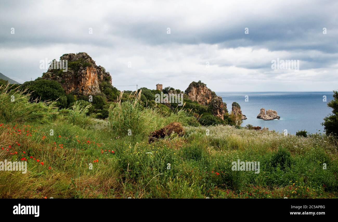 Limestone Sea Stacks rising out of the sea, Tonnara di Scopello ...