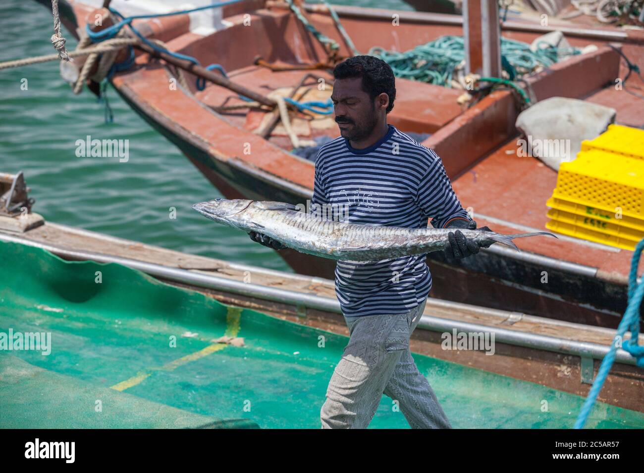 Al Khor fishing port in north Qatar. Fishermen unloading the Kingfish ...