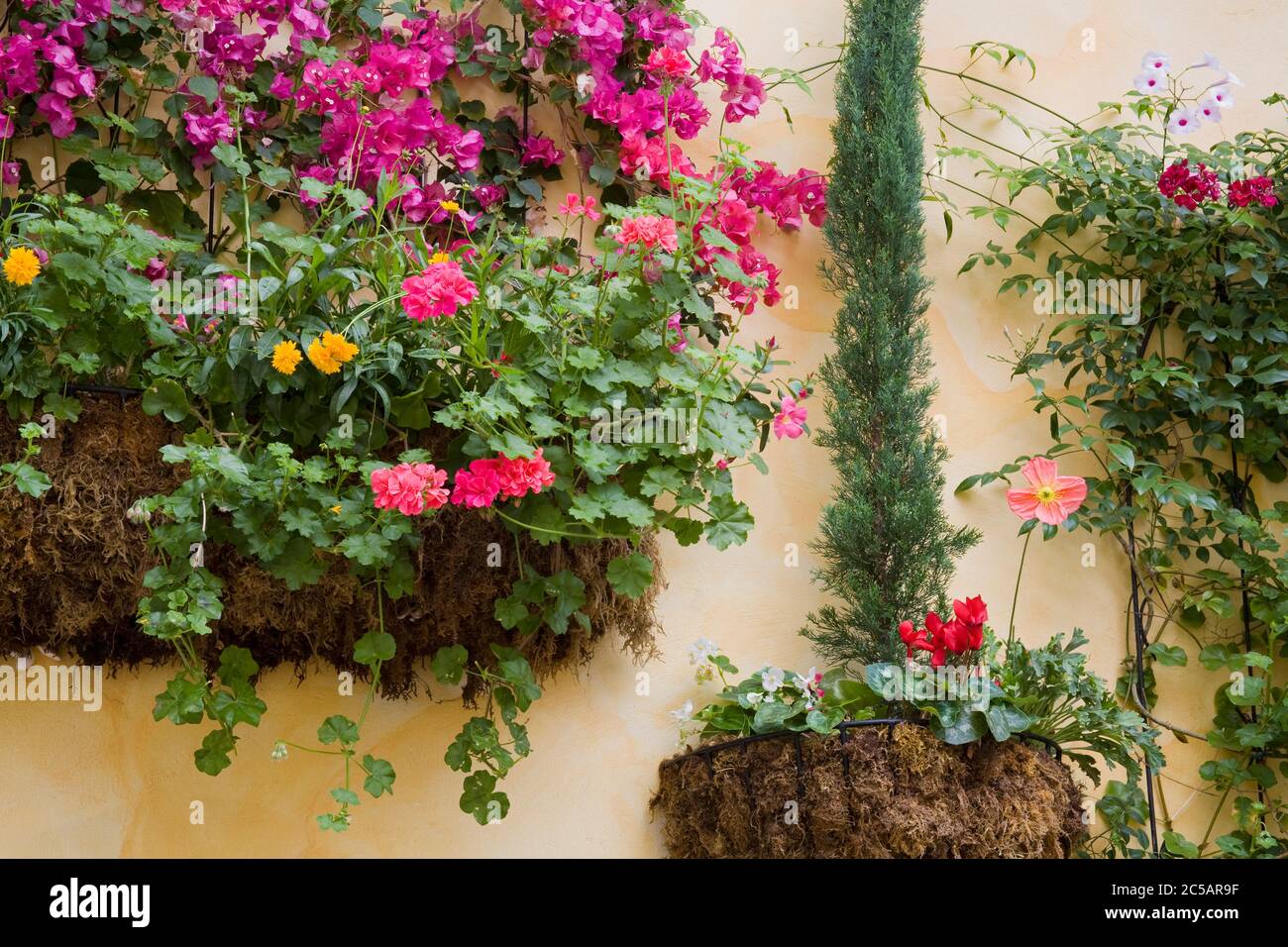 Monterey garden hi-res stock photography and images - Alamy