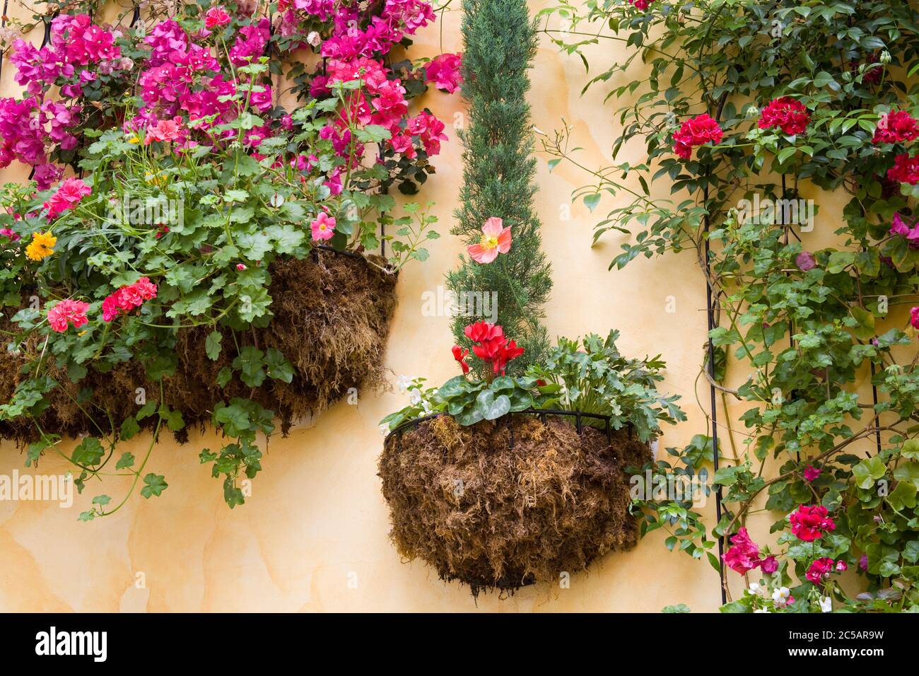 Monterey garden hi-res stock photography and images - Alamy