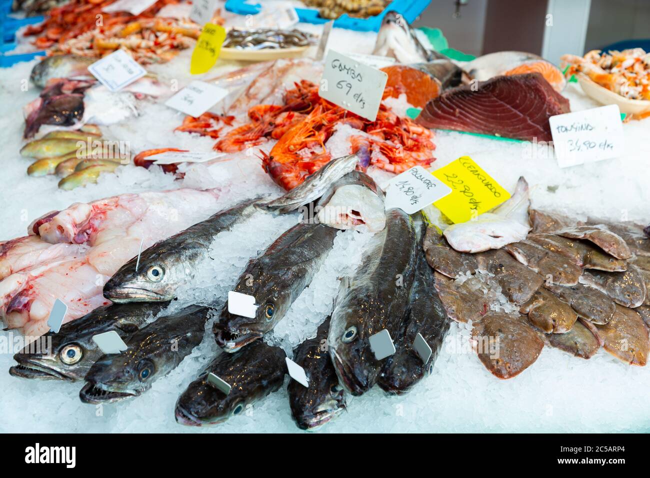 Icy fish showcase with diversity of fresh marine products on seafood ...