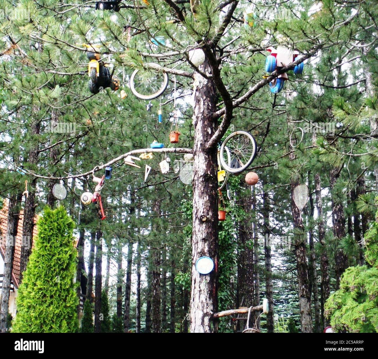 Tree with toys Stock Photo - Alamy
