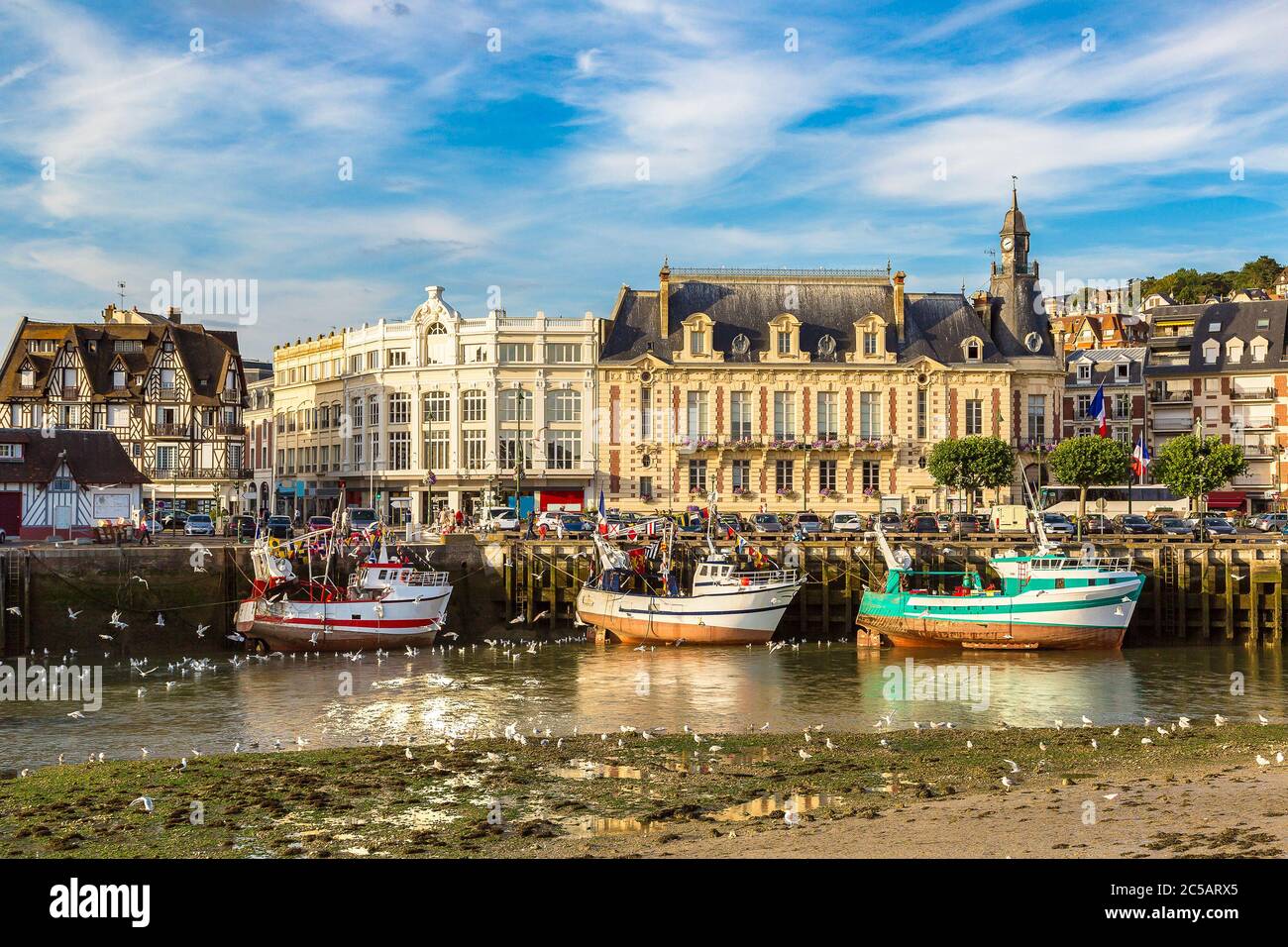 Trouville and Touques river and a lot of seagull in a beautiful summer ...