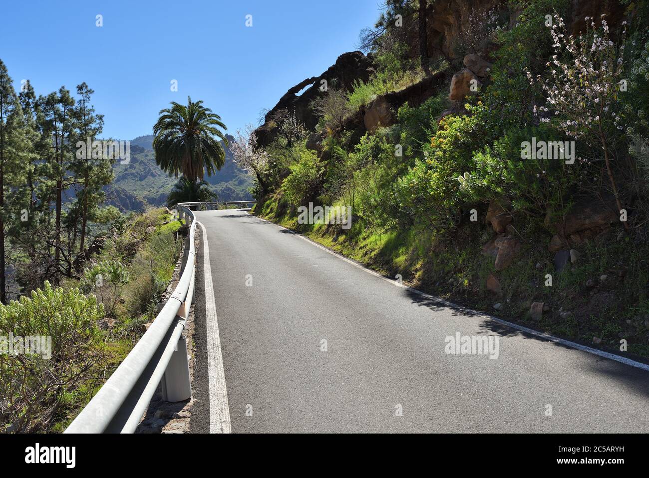 Tar island hi-res stock photography and images - Alamy