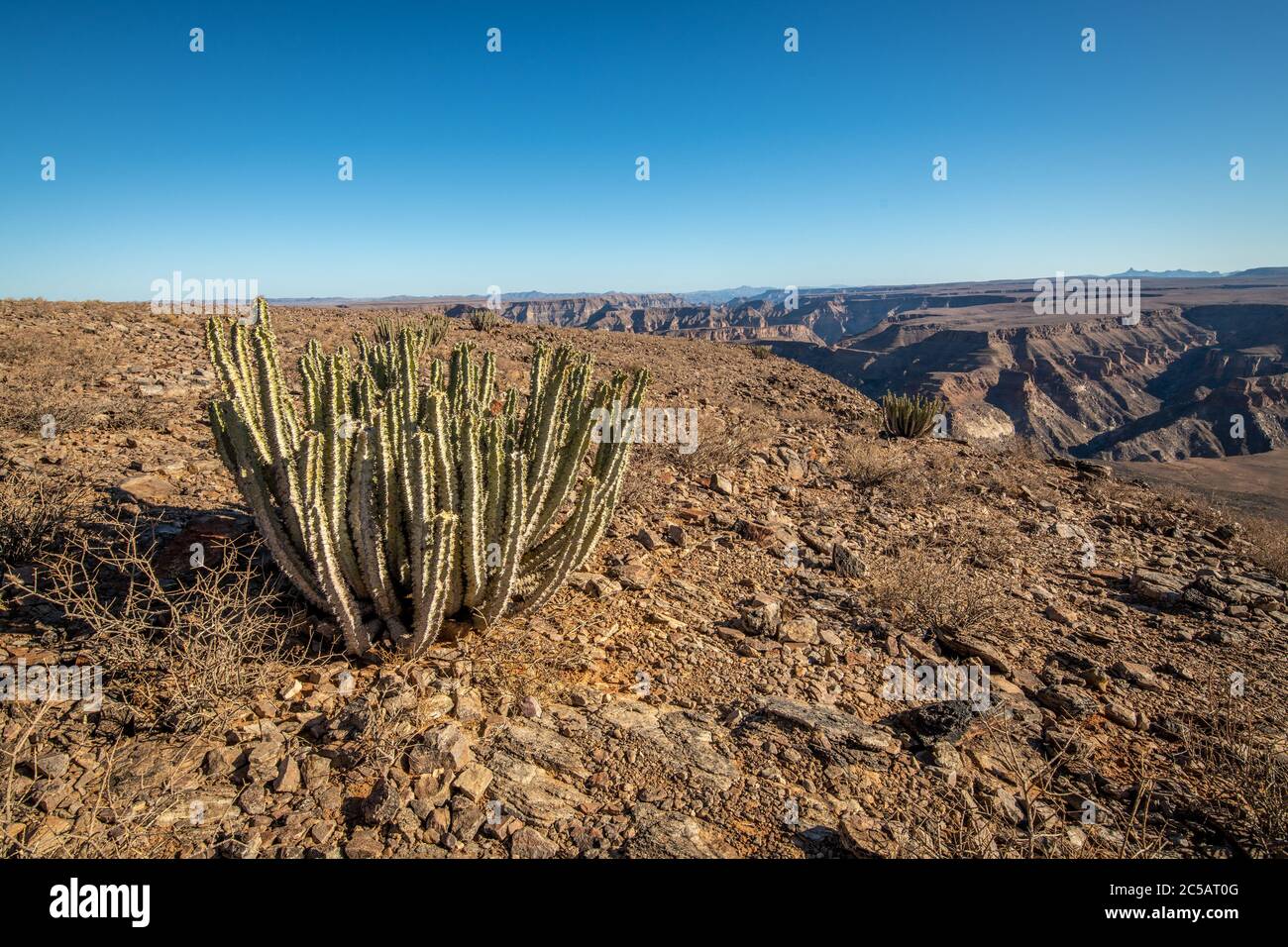 Desert cactus geology river hi-res stock photography and images - Alamy