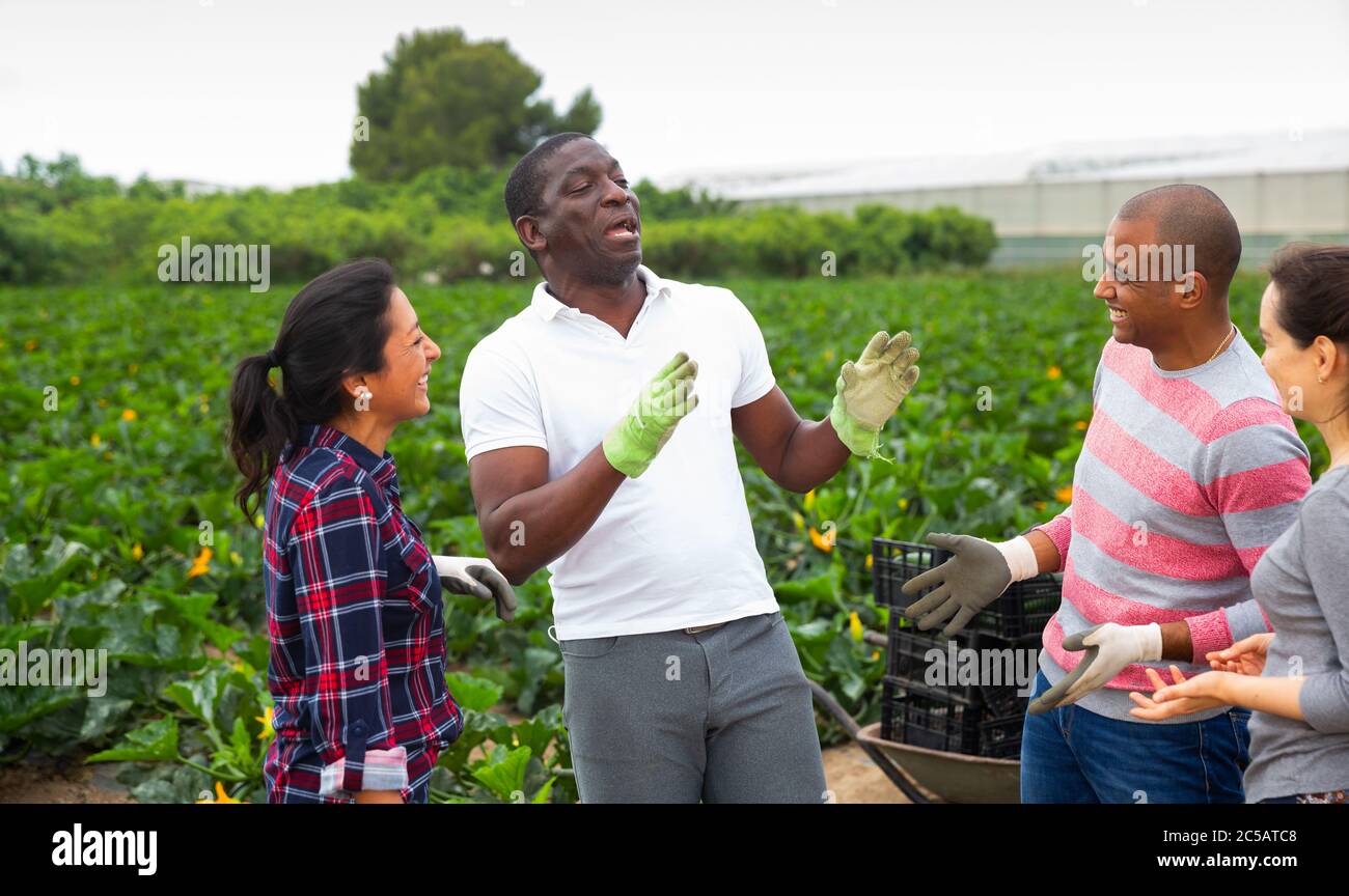 Male and female horticulturists friendly talking outdoors on field of ...
