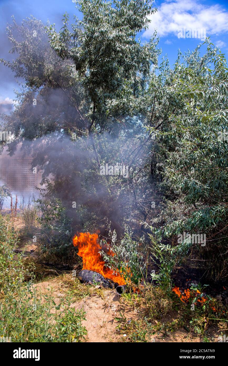 Wheel of fire tree hi-res stock photography and images - Alamy