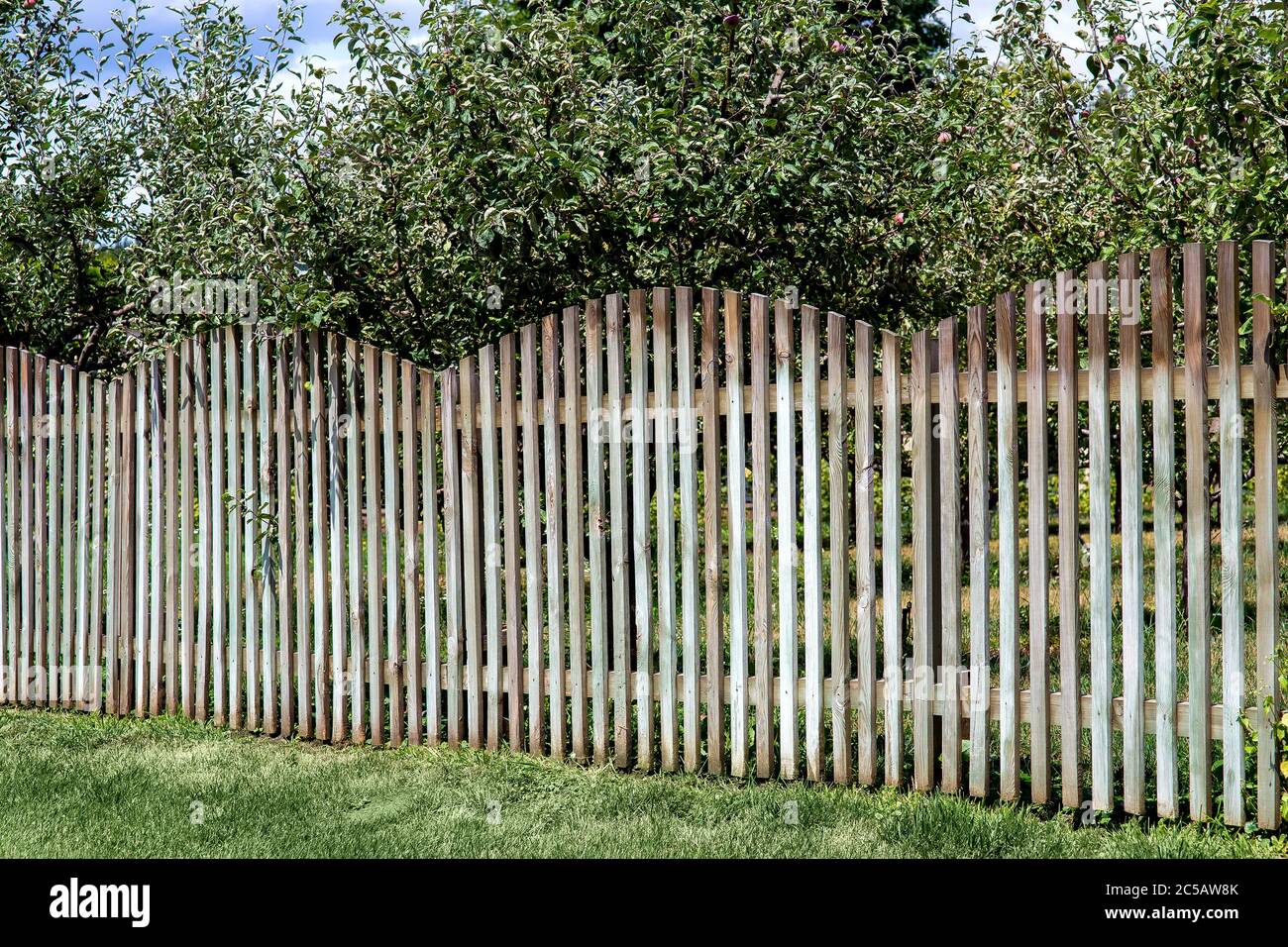 The wooden fence from apple orchard on a sunny summer day, nobody Stock ...
