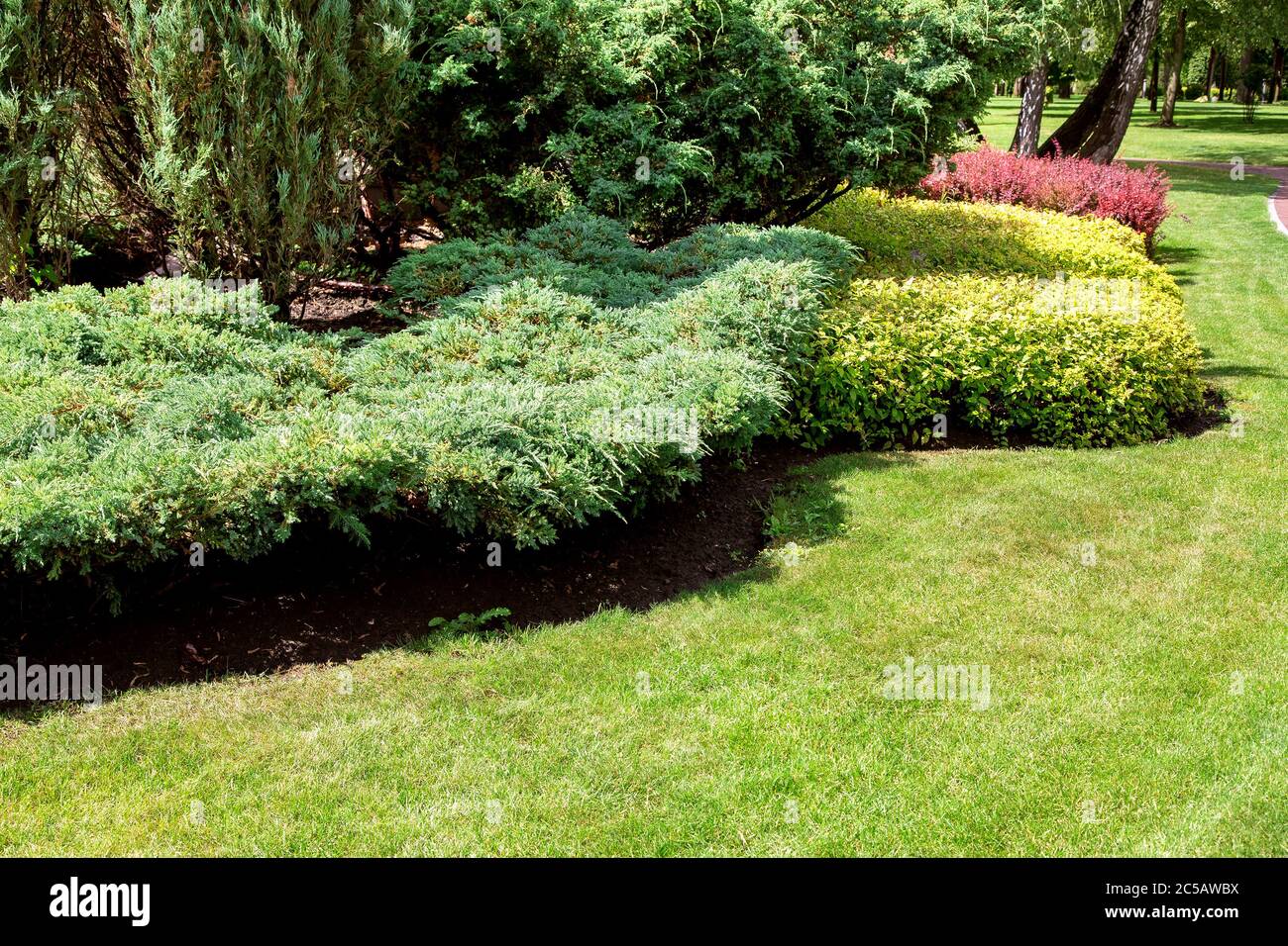 well maintained park with bushes of green spaces, meadow on sunny ...