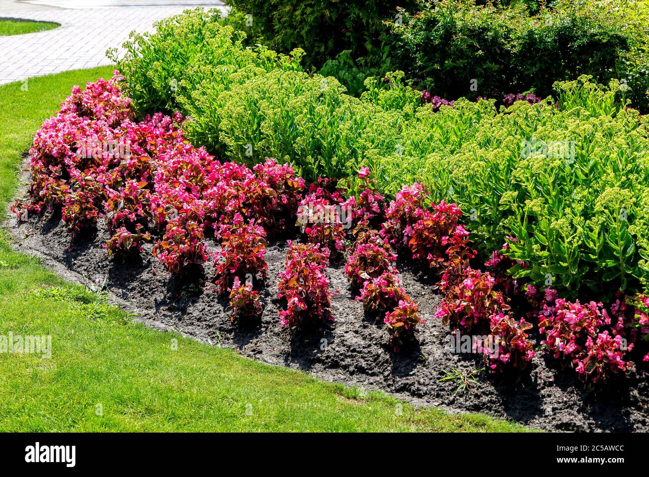 flowerbed in the ground red and green flowers on landscaping garden a ...
