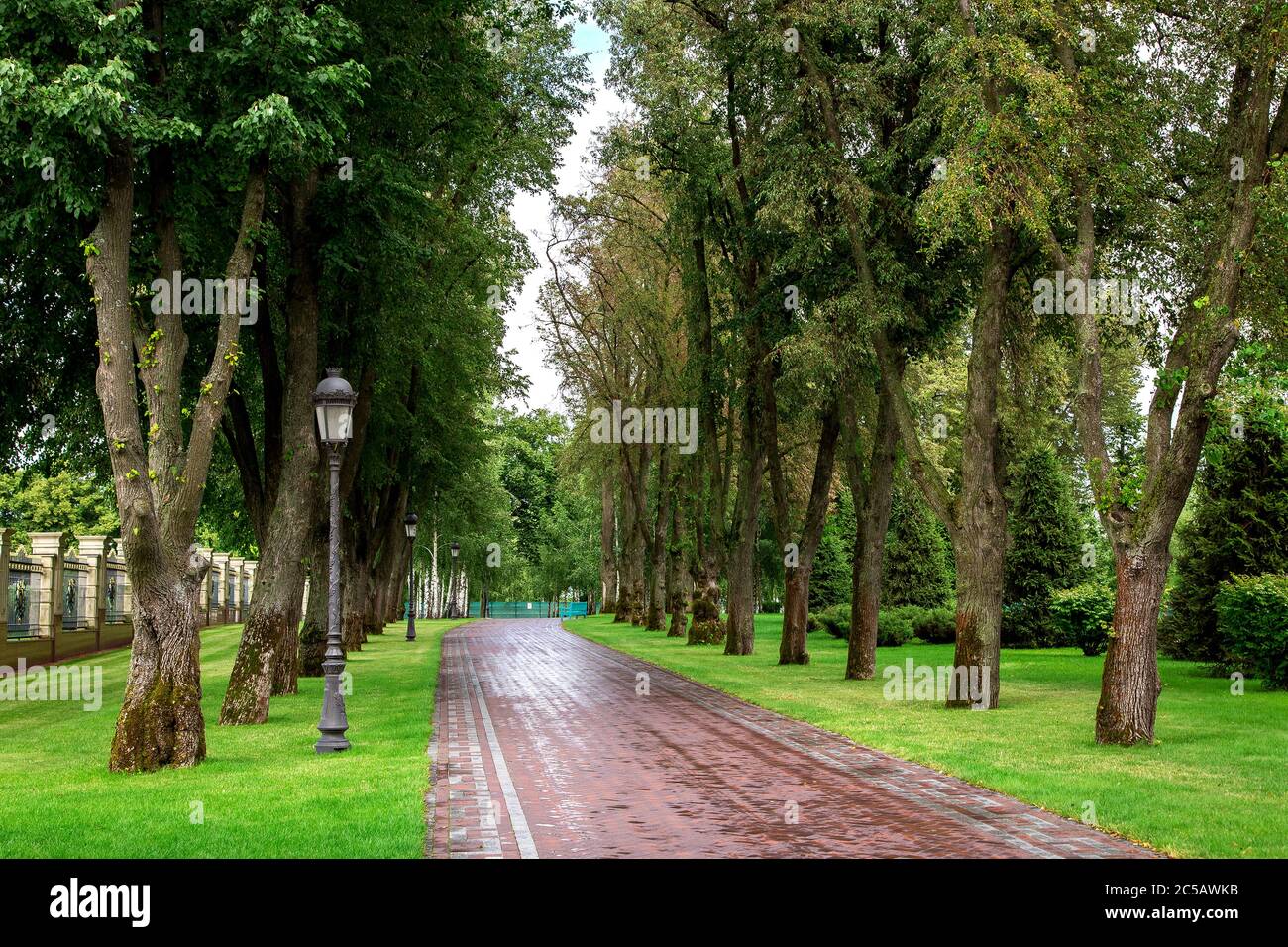 a pedestrian walkway made of red tile is wet after rain, leaving in ...
