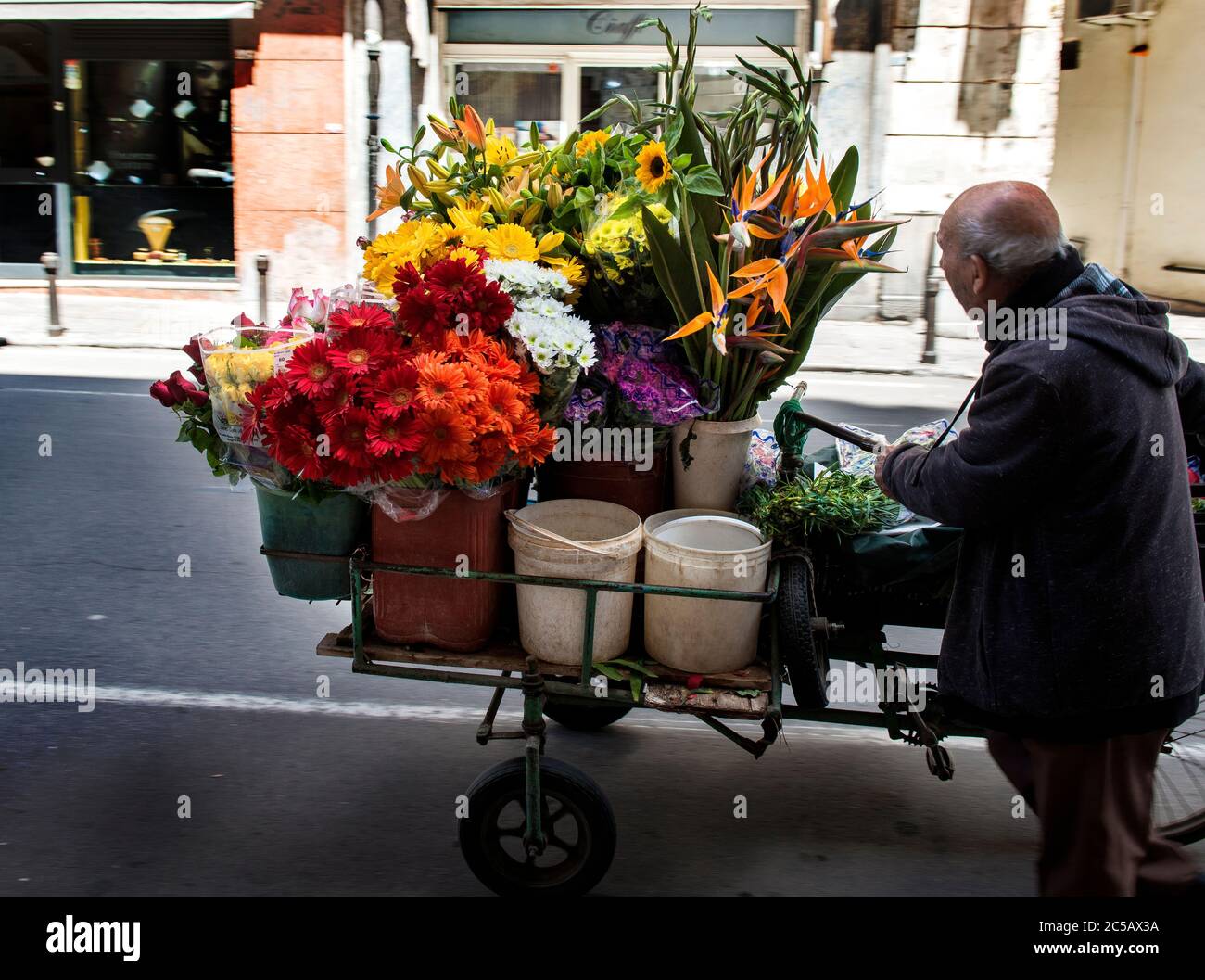 Flowers Street Vendor in Palermo, Sicily, Italy Stock Photo - Alamy