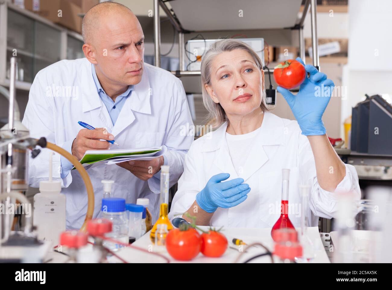 Two experienced biochemists checking fruits and vegetables for nitrates ...