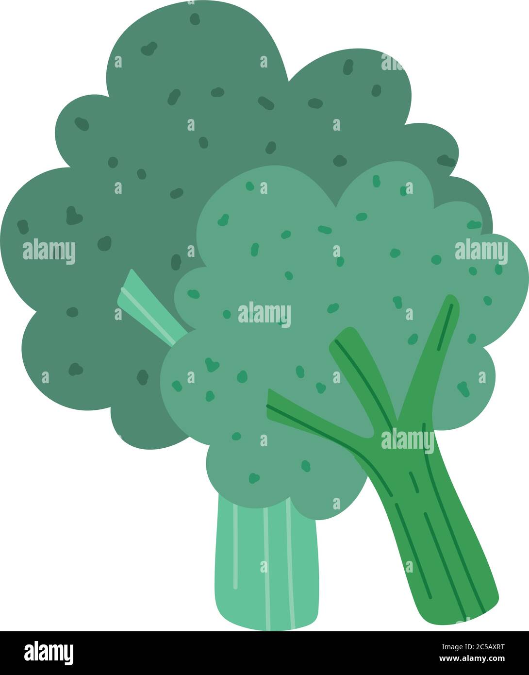 Broccoli Drawing High Resolution Stock Photography and Images - Alamy