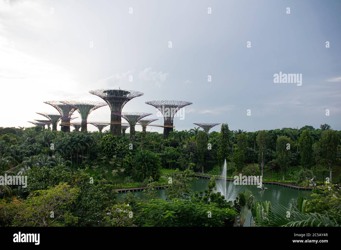 PANORAMIC VIEW BOTANIC GARDEN FROM SINGAPORE, NOVEMVER, 2018 Stock ...