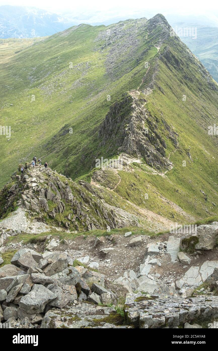 Walkers on strding edge in the Lake District when viewed from Helvellyn ...