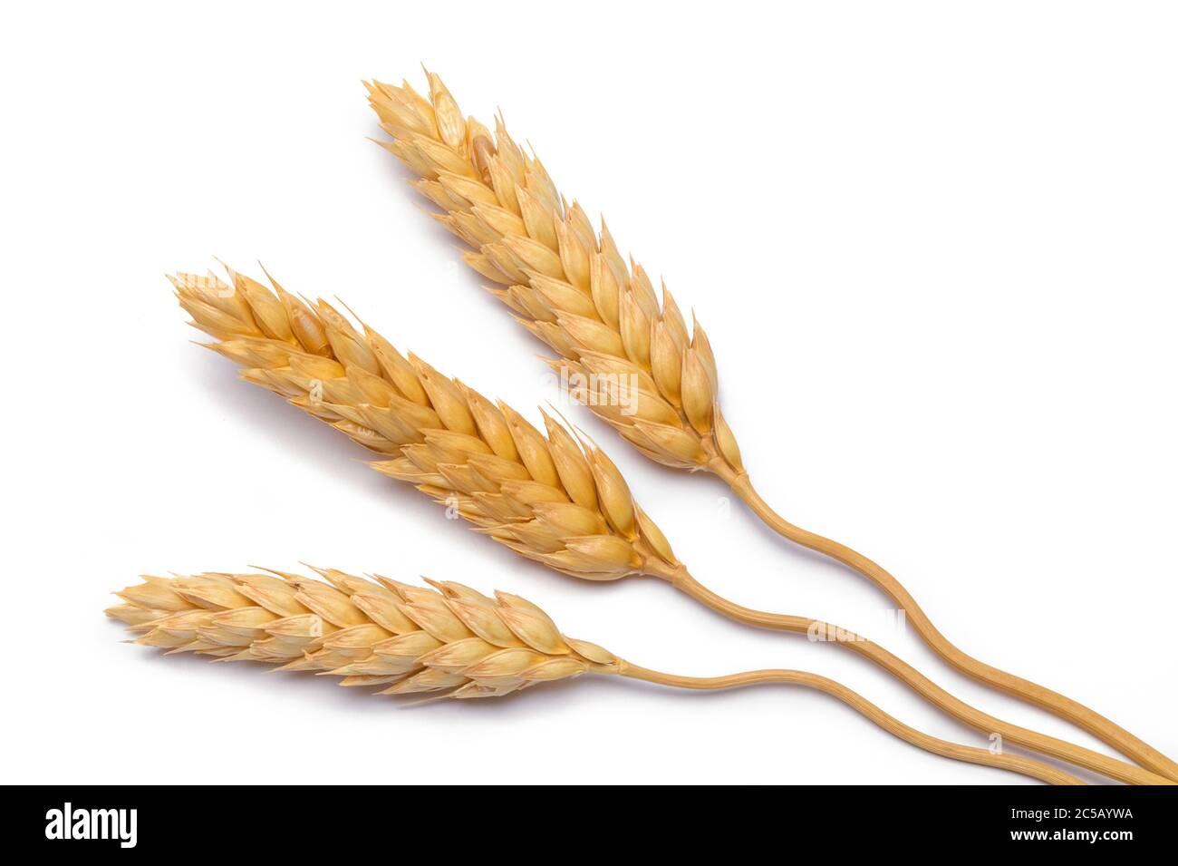 Wheat crop bundle hi-res stock photography and images - Alamy