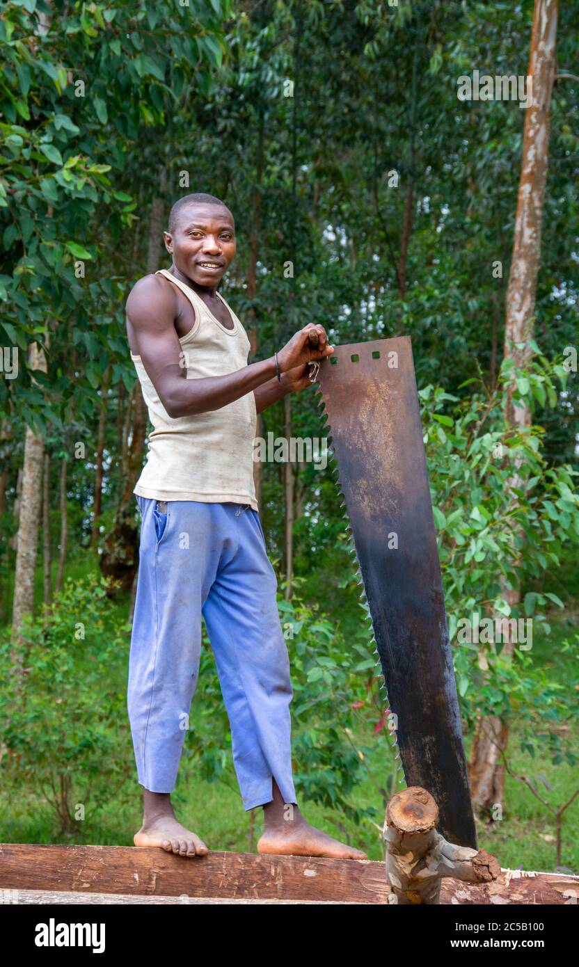 Rwandan workers building a house with traditional saw and timber Stock ...