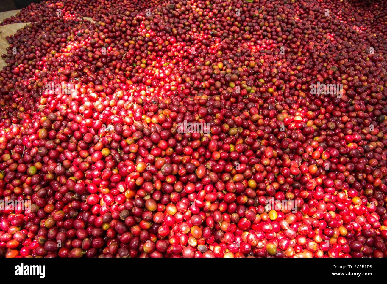 Gisuma Washing station and farmers of the collective Stock Photo - Alamy