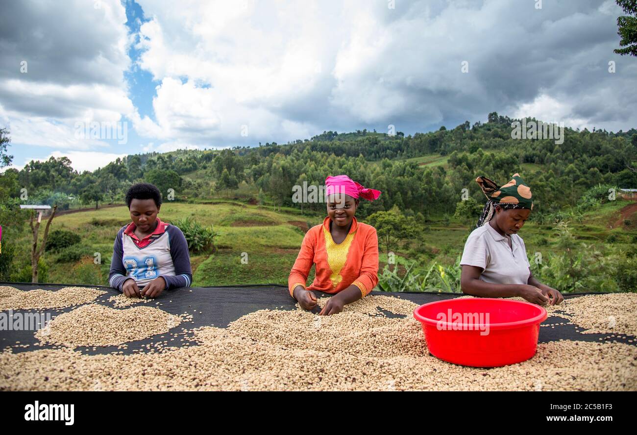 Gisuma Washing station and farmers of the collective Stock Photo - Alamy