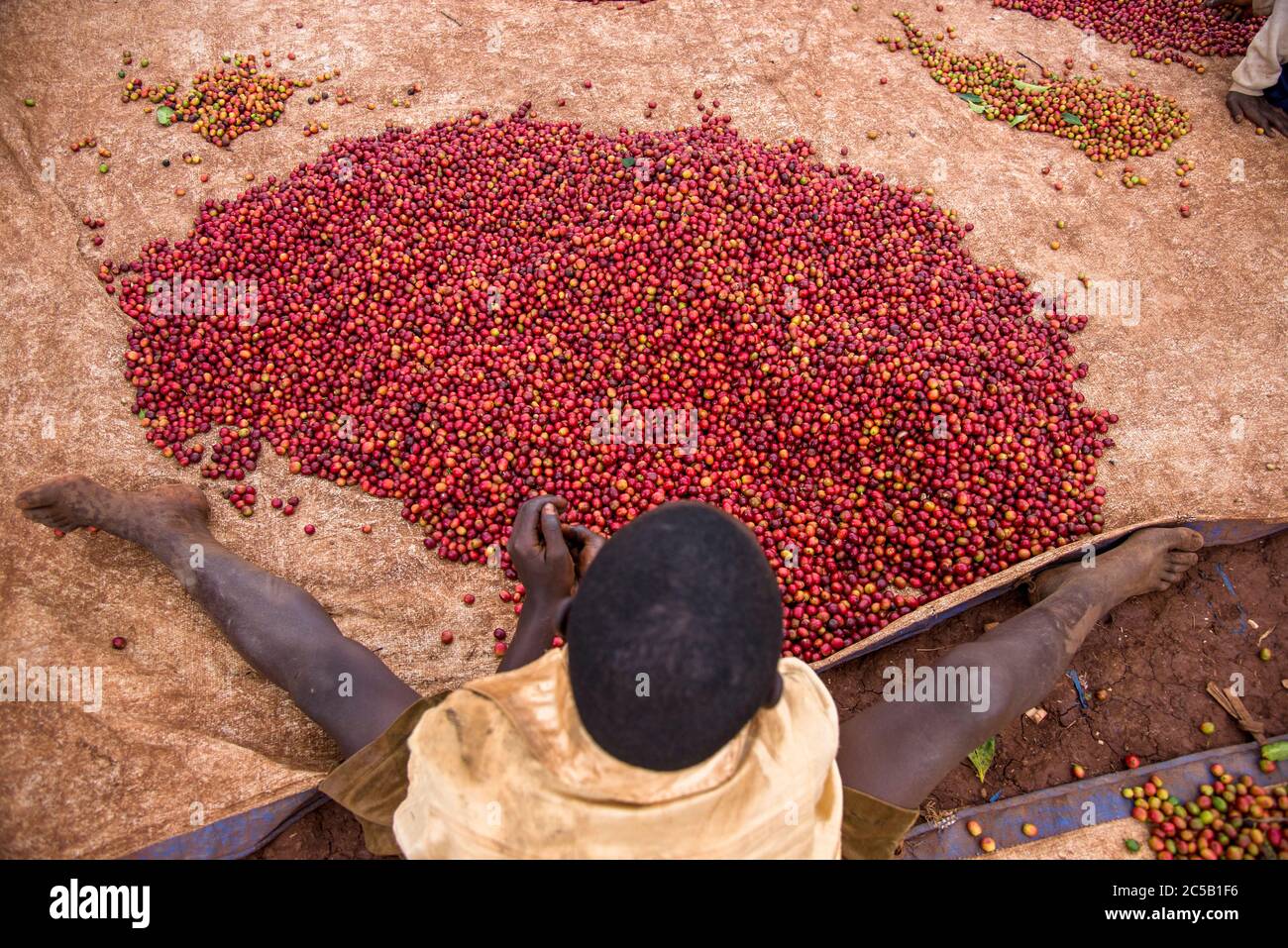 Gisuma Washing station and farmers of the collective Stock Photo - Alamy