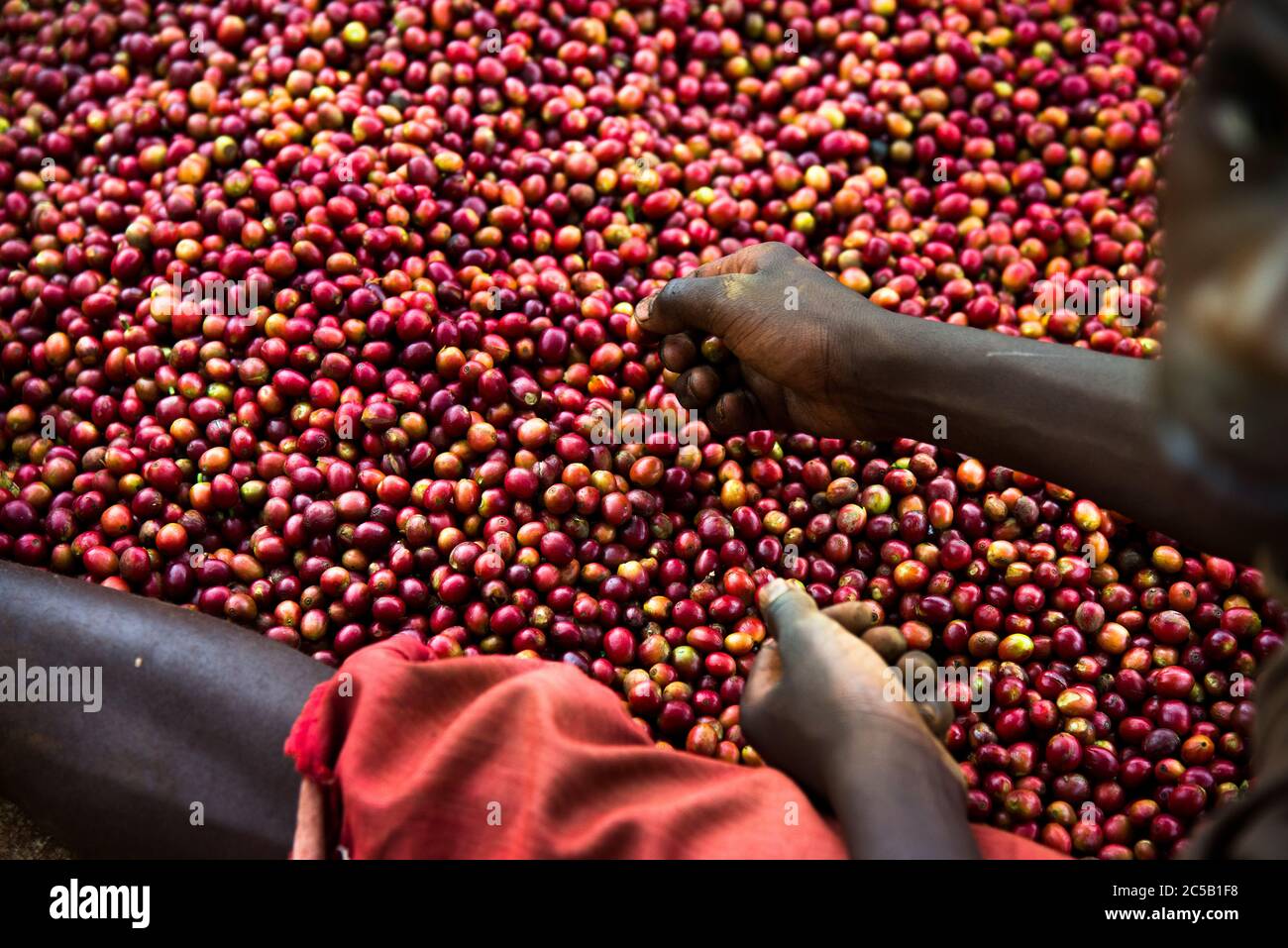 Gisuma Washing station and farmers of the collective Stock Photo - Alamy