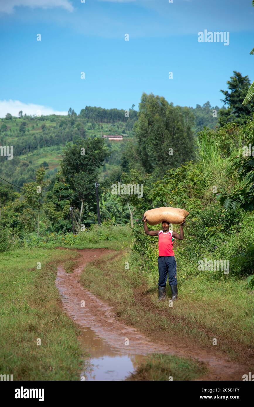 Lake kivu coffee cooperatives hi-res stock photography and images - Alamy