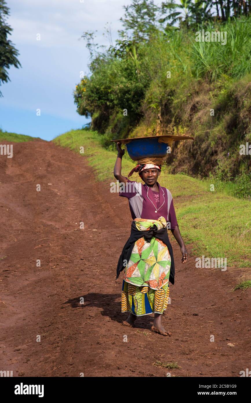 Lake kivu coffee cooperatives hi-res stock photography and images - Alamy