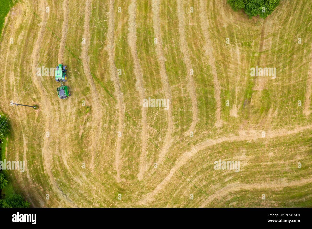 Farmer harvesting hay on the grass field with green forest around ...