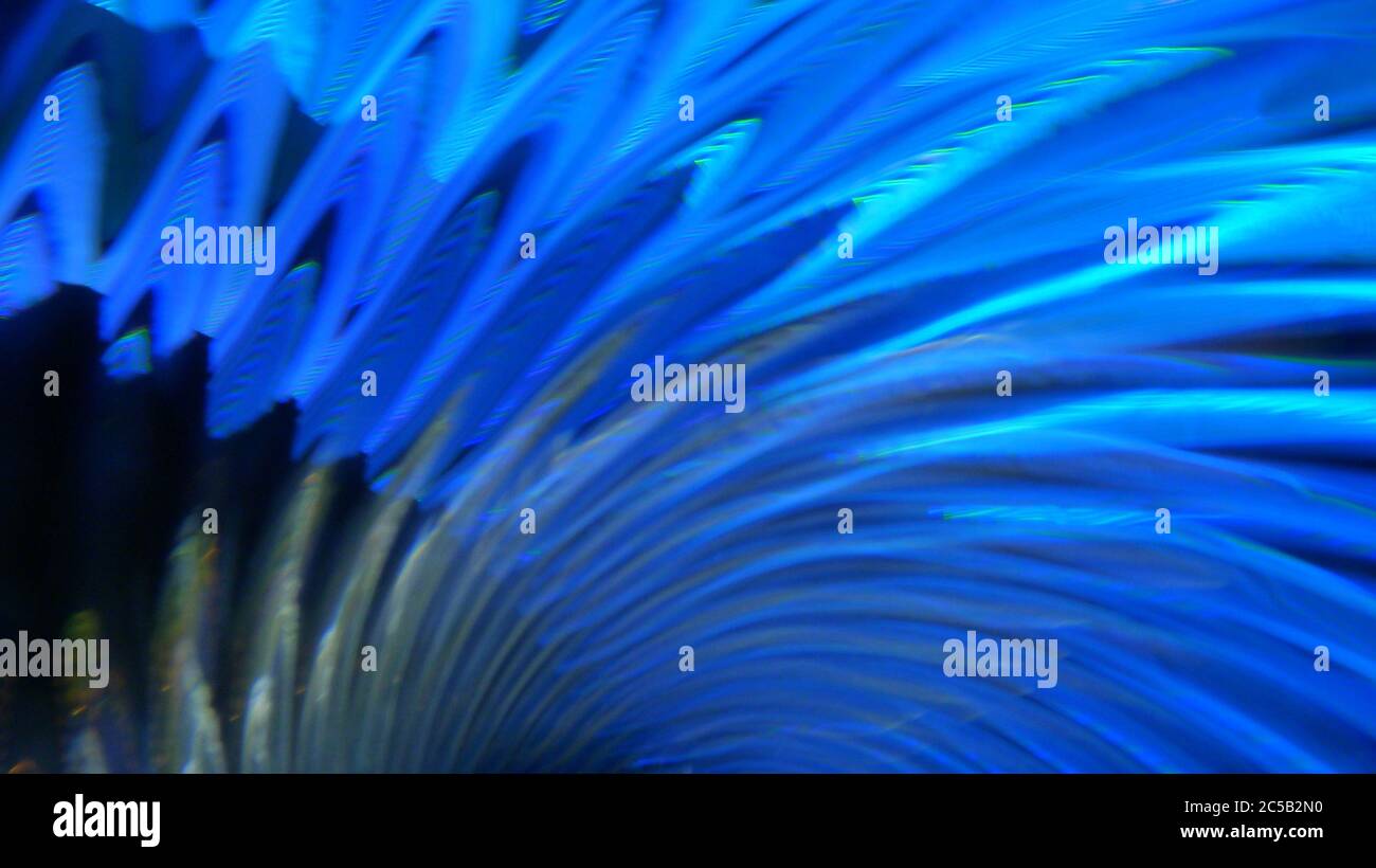 Horizontal shot of smooth blue light art - Visual inspiration Stock ...