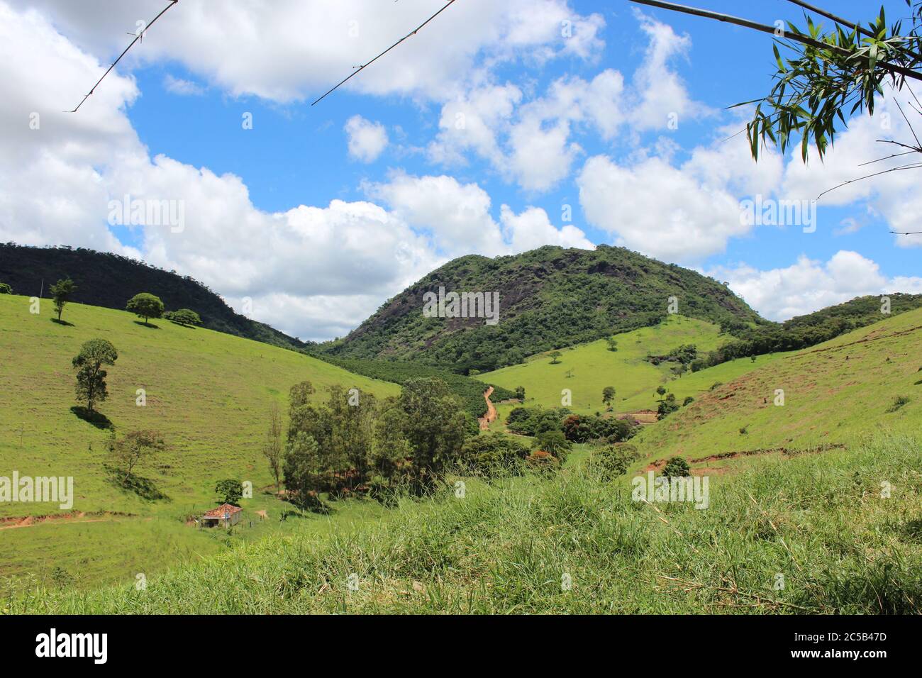 Closeup shot of a mountainous green field with random trees - perfect ...
