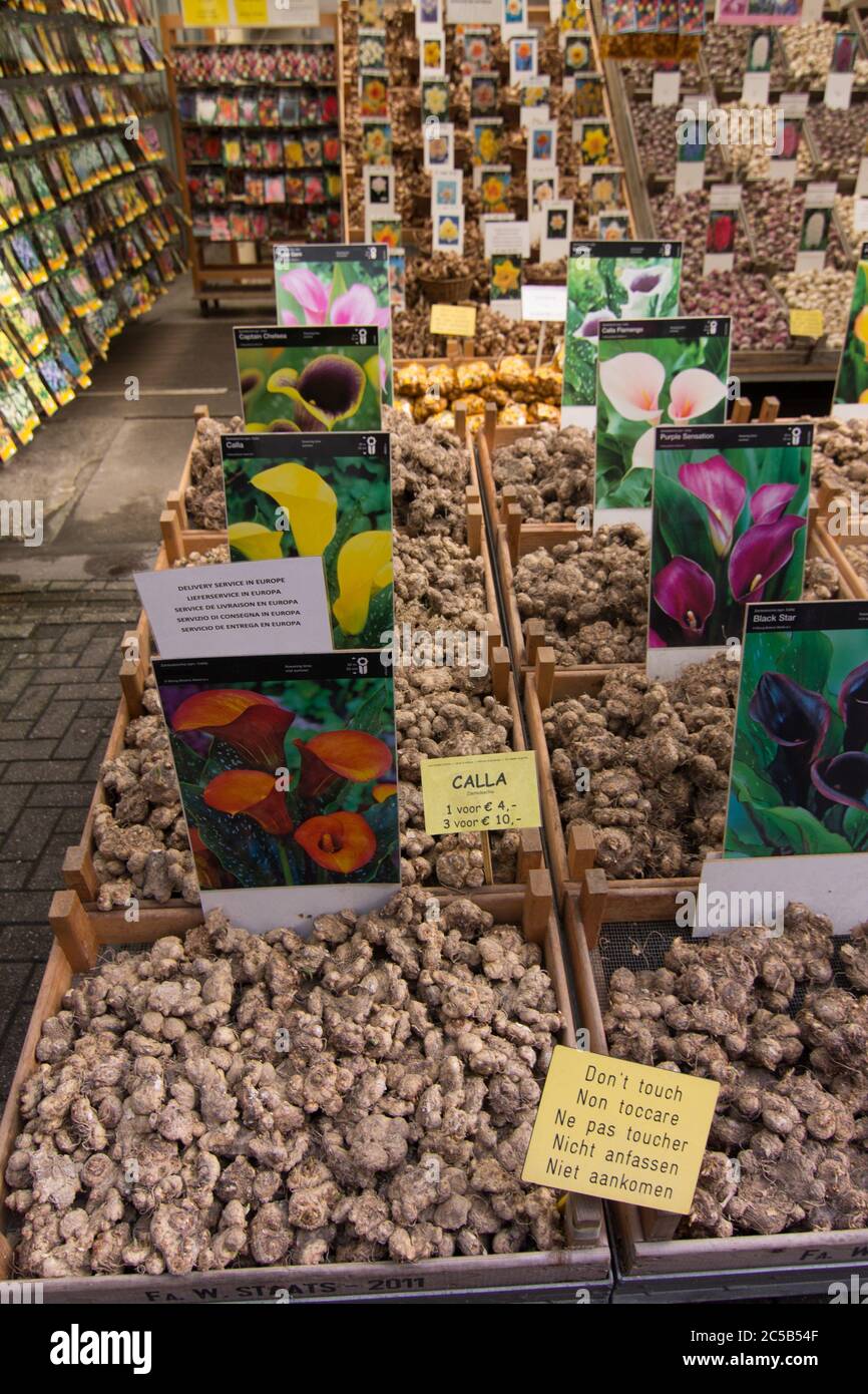 Vertical shot of a herbs store with a very large variety of herbs and ...