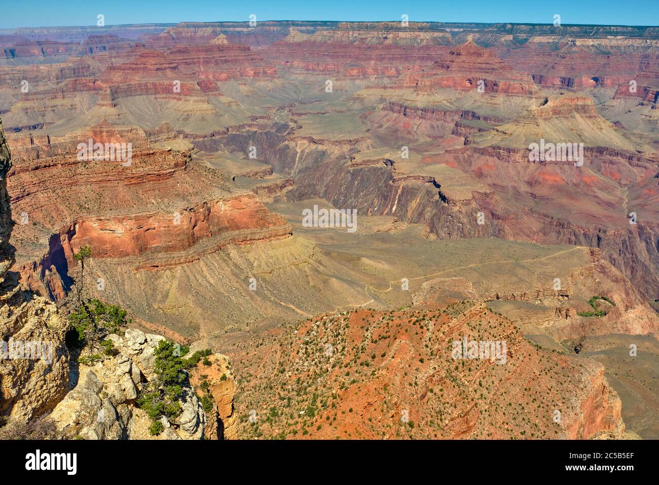 View from the edge of Grand Canyon. USA Stock Photo - Alamy