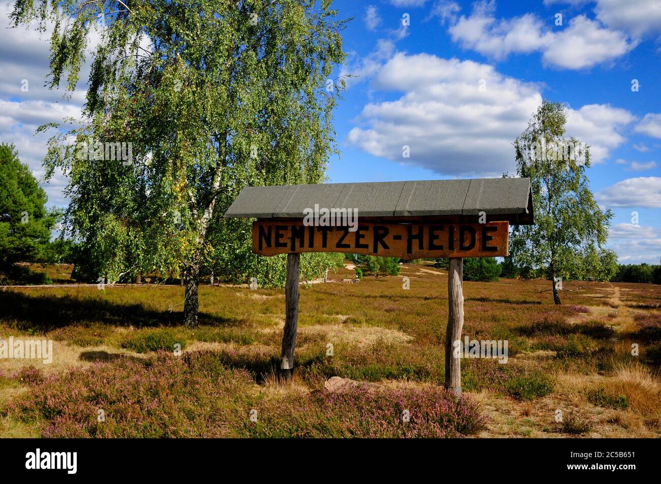 Nemitz heath (Nemitzer Heide) in nature park Elbhöhen-Wendland, Lüchow ...