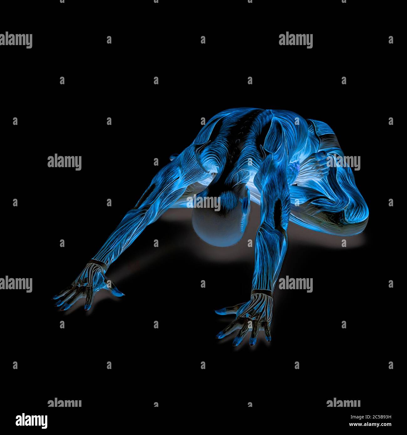 Muscles anatomy child hi-res stock photography and images - Alamy